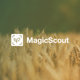 MagicScout License