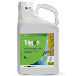 Tilmor 240 EC